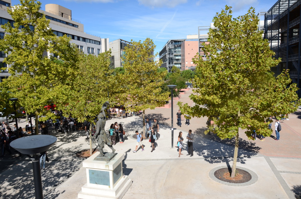université richter montpellier